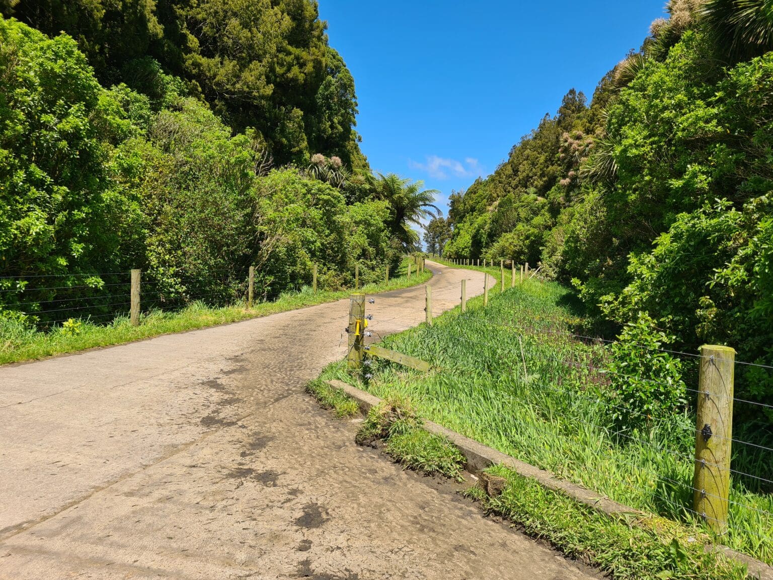 764 Puniho Road, Newall, New Plymouth District Sold - McDonald Real Estate