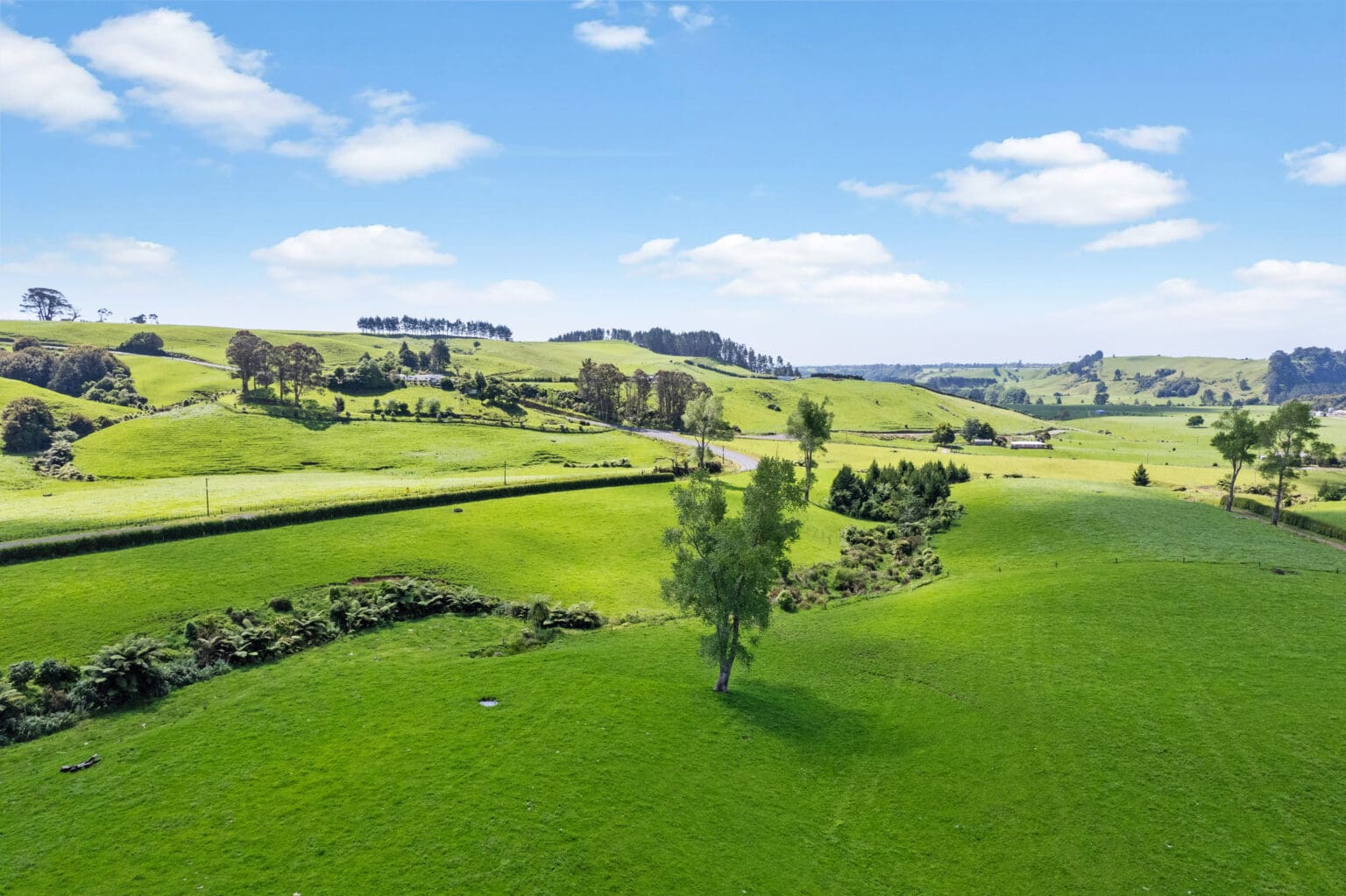 151 Everett Road, Everett Park, New Plymouth Sold - McDonald Real Estate
